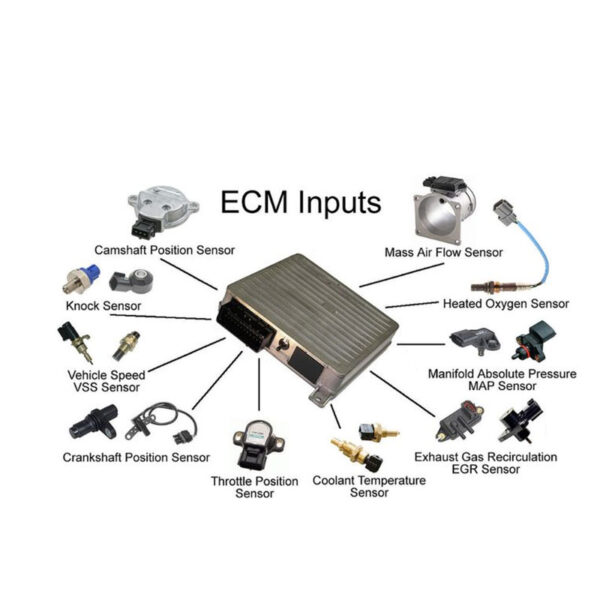 What is an ECM for a Car? - AutoExplain